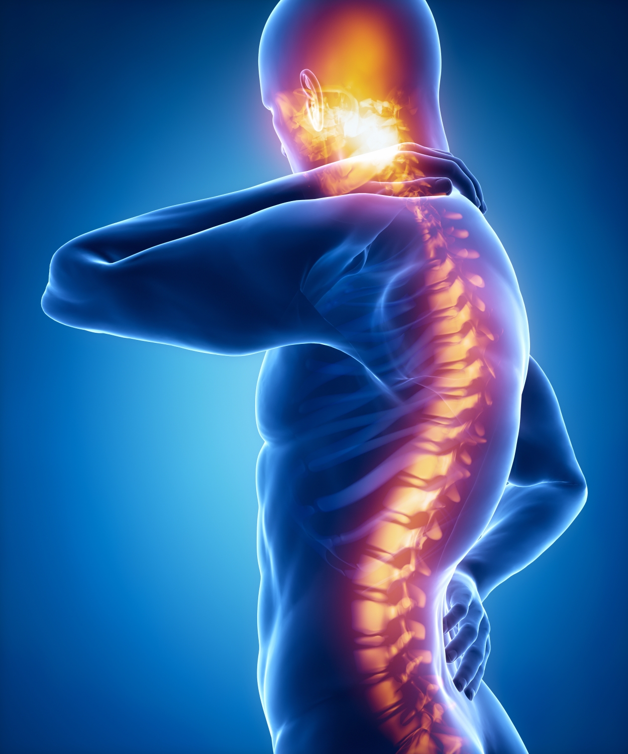 Central nervous system (CNS) disorders - Endobios